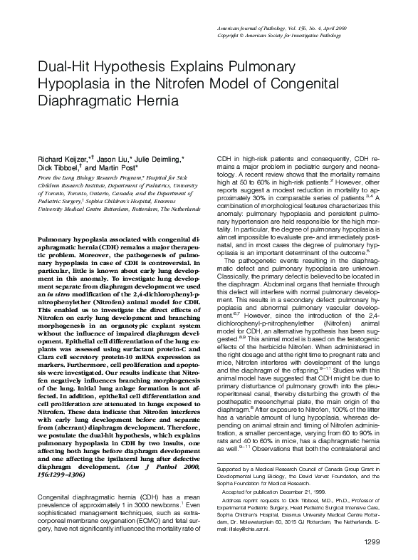(PDF) Dual-Hit Hypothesis Explains Pulmonary Hypoplasia in the Nitrofen ...