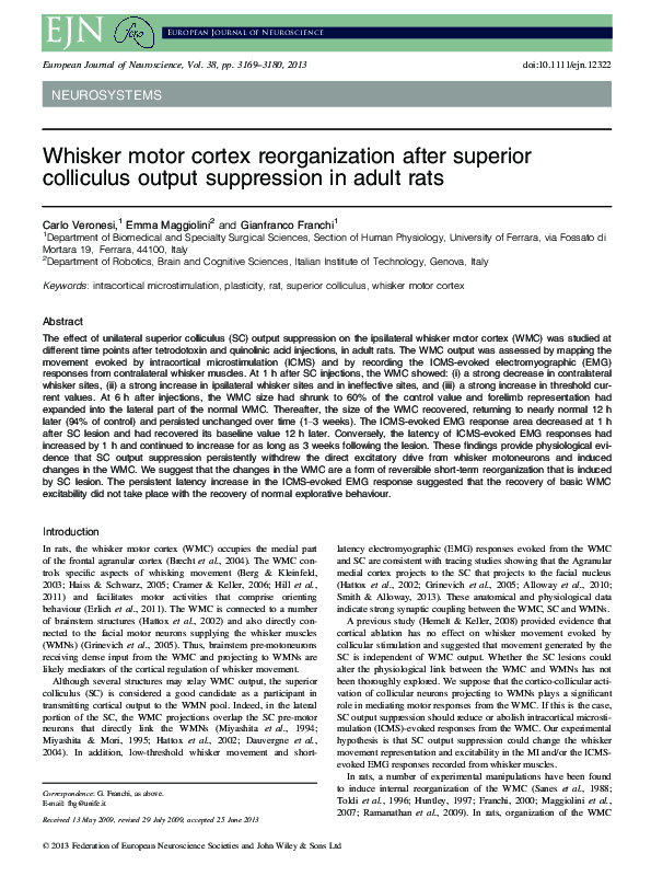 (PDF) Whisker motor cortex reorganization after superior colliculus ...