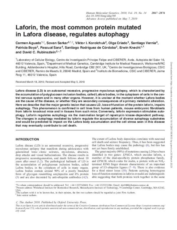(PDF) Laforin, the most common protein mutated in Lafora disease ...