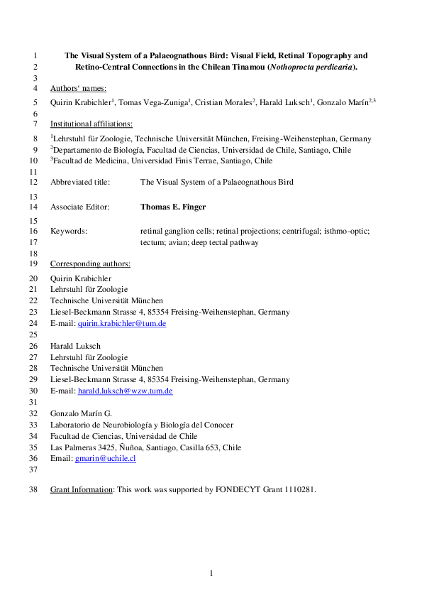 (PDF) The visual system of a Palaeognathous bird: Visual field, retinal ...