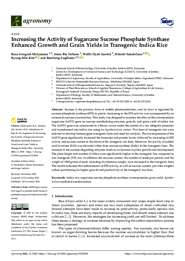 (PDF) Increasing the Activity of Sugarcane Sucrose Phosphate Synthase ...