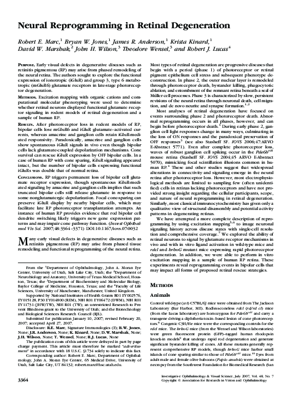 (PDF) Neural Reprogramming in Retinal Degeneration