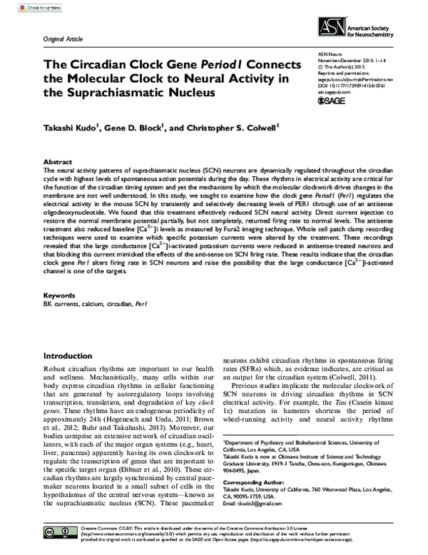 (PDF) The Circadian Clock Gene Period1 Connects the Molecular Clock to ...