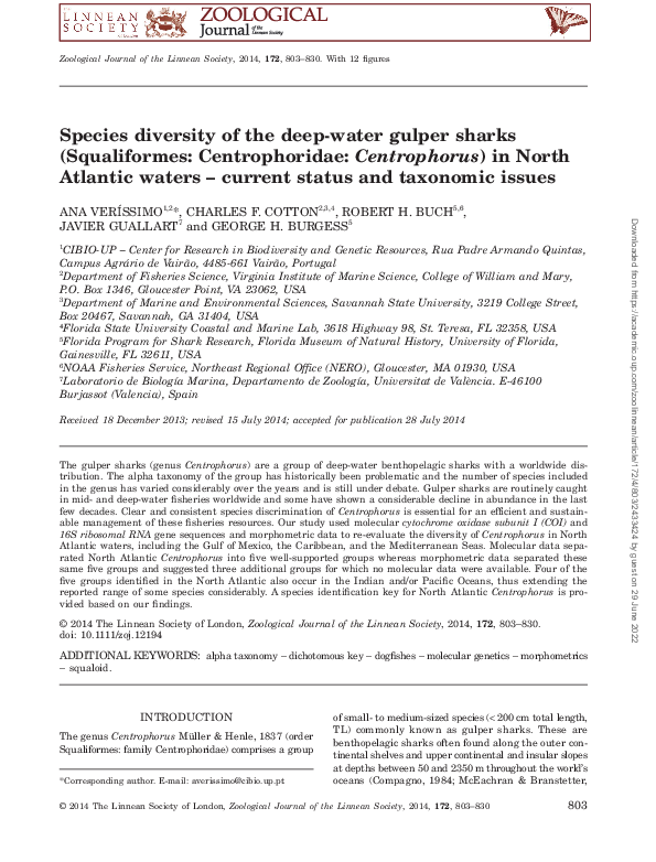 (PDF) Species diversity of the deep-water gulper sharks (Squaliformes ...