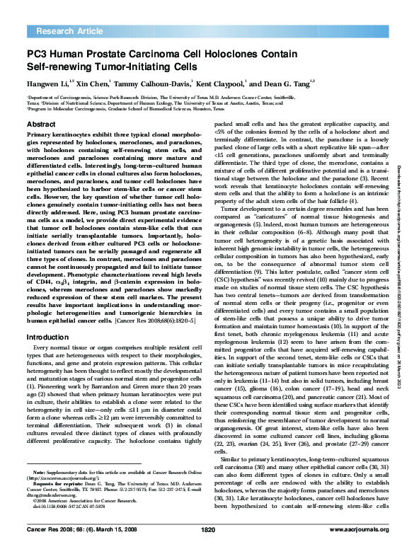 (PDF) Holoclones in PC3 Prostate Cancer: Stem Cells Found