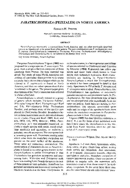 (PDF) Paratrichophaea (Pezizales) in North America | Donald Pfister ...