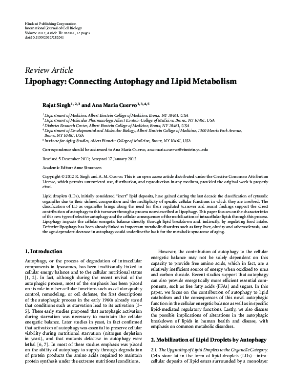 (PDF) Lipophagy: connecting autophagy and lipid metabolism
