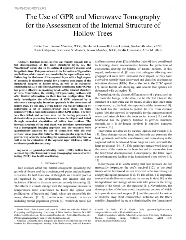 (PDF) The Use of GPR and Microwave Tomography for the Assessment of the Internal Structure of ...
