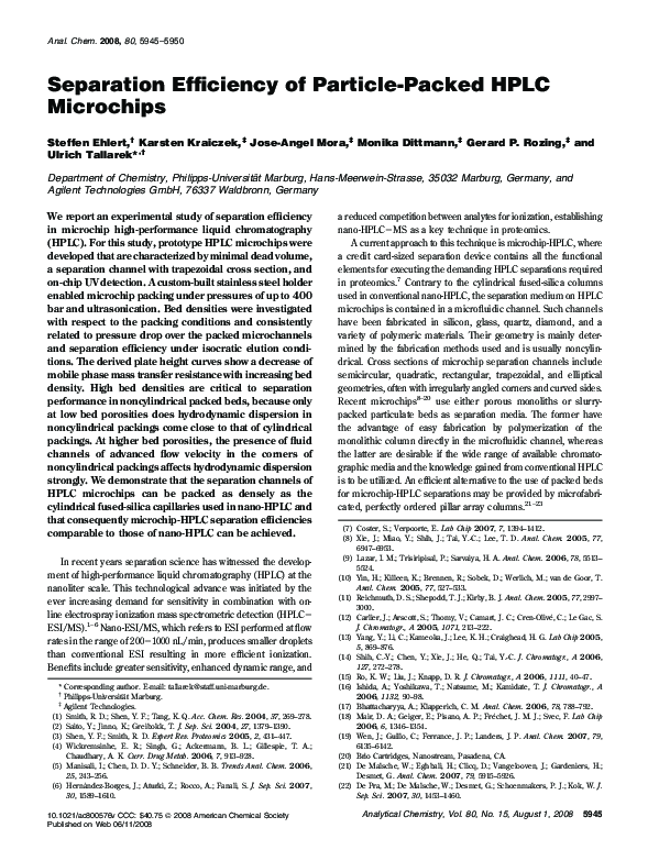 (PDF) Separation Efficiency of Particle-Packed HPLC Microchips