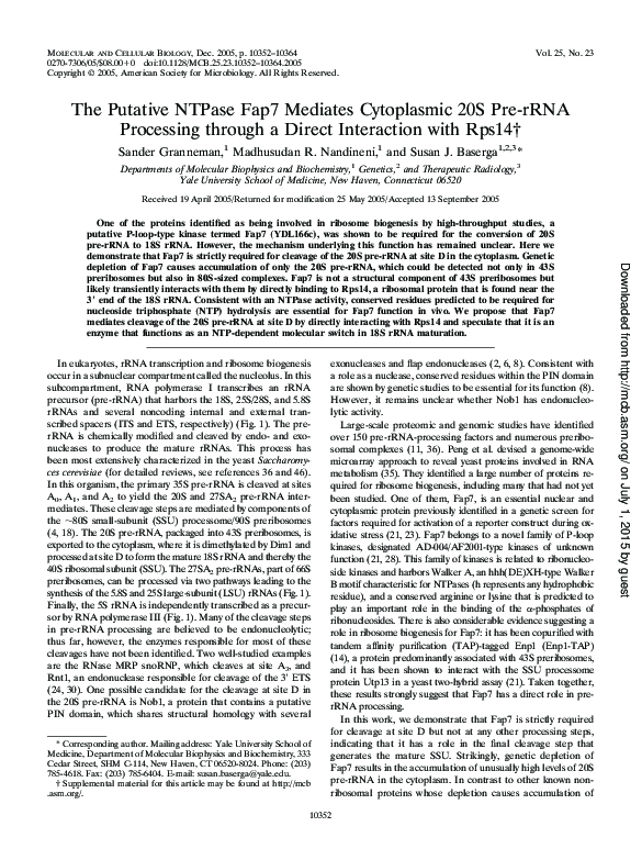 (PDF) The Putative NTPase Fap7 Mediates Cytoplasmic 20S Pre-rRNA ...