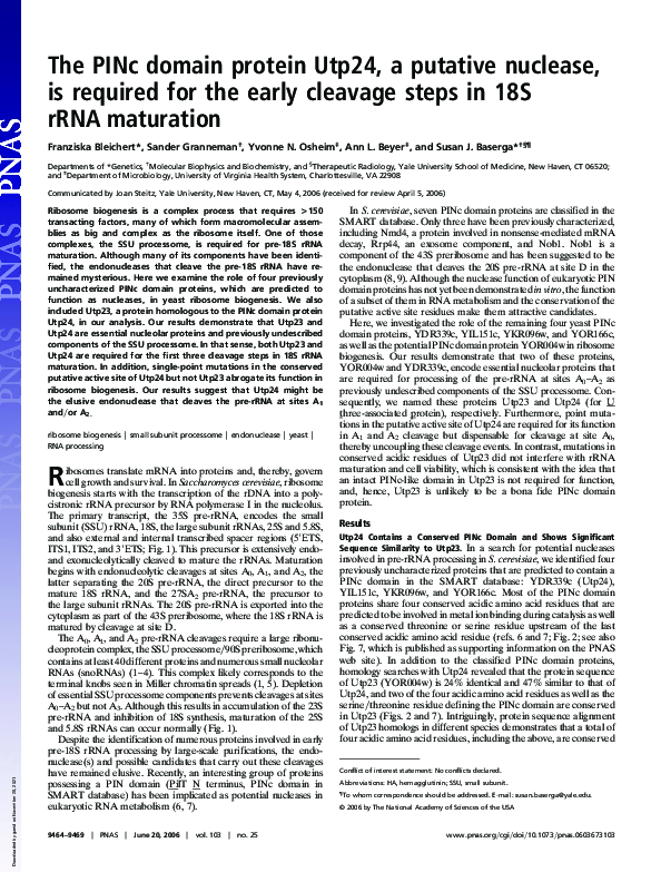 (PDF) The PINc domain protein Utp24, a putative nuclease, is required ...