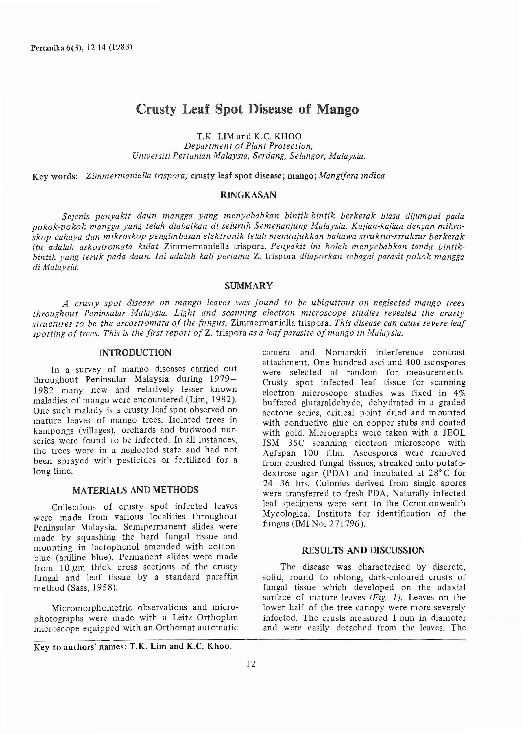 (PDF) Crusty Leaf Spot Disease of Mango