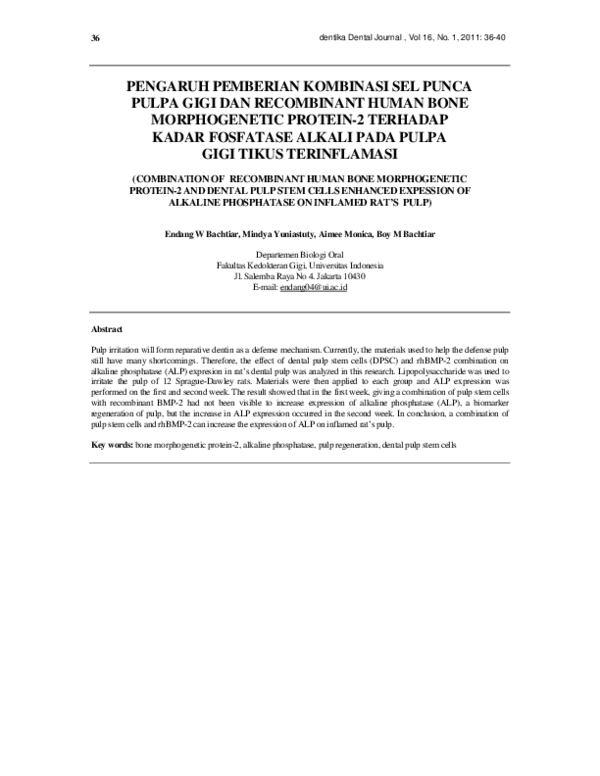 (PDF) Pengaruh Pemberian Kombinasi Sel Punca Pulpa Gigi Dan Recombinant ...