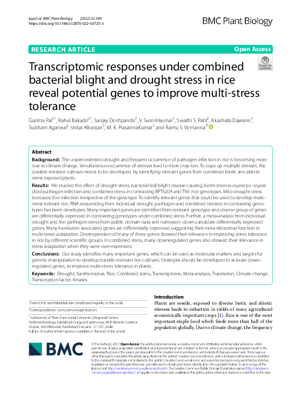 (PDF) Transcriptomic responses under combined bacterial blight and drought stress in rice reveal ...