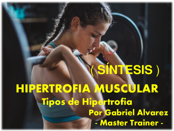 (PDF) Hipertrofia Muscular Sintesis