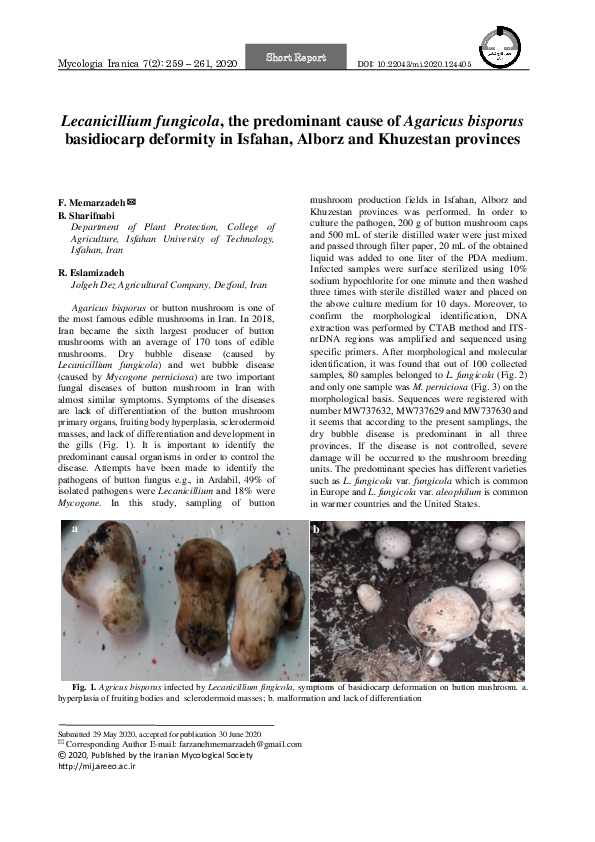 (PDF) Lecanicillium fungicola, the predominant cause of Agaricus ...