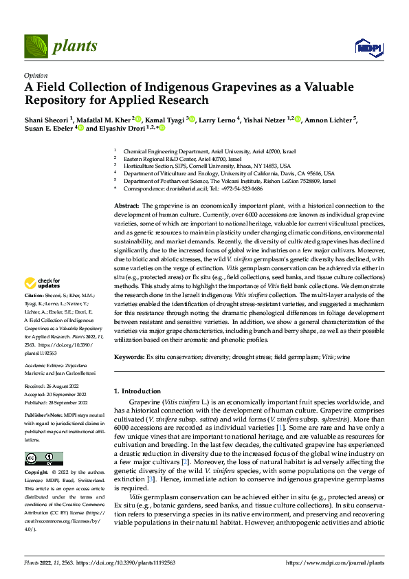 (PDF) A Field Collection of Indigenous Grapevines as a Valuable ...