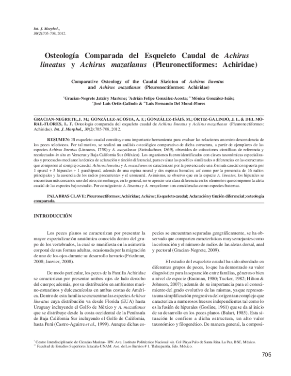 (PDF) Osteología Comparada del Esqueleto Caudal de Achirus lineatus y ...
