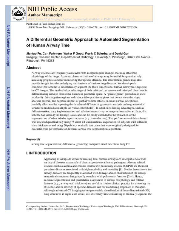 Pdf A Differential Geometric Approach To Automated Segmentation Of Human Airway Tree Walter