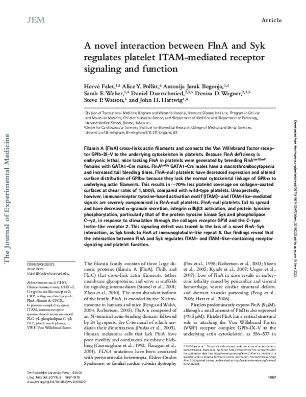 (PDF) A novel interaction between FlnA and Syk regulates platelet ITAM ...