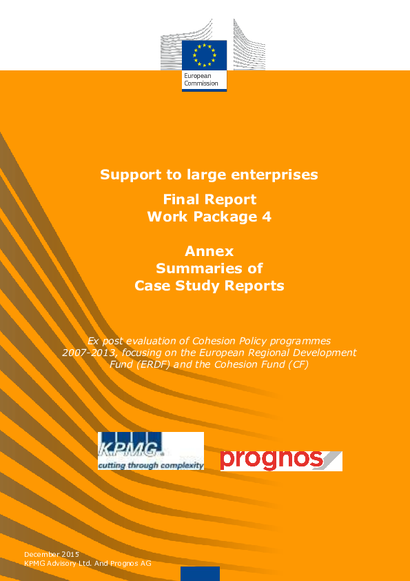 (PDF) Support to large enterprises Final Report Work Package 4 Annex ...