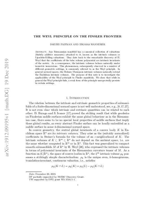(PDF) The Weyl principle on the Finsler frontier