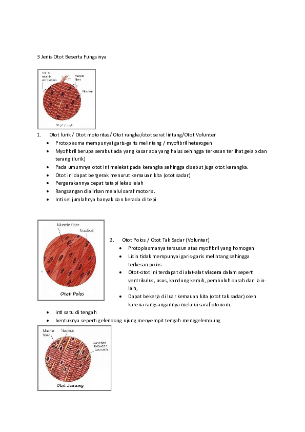 (DOC) Jenis Otot Beserta Fungsinya