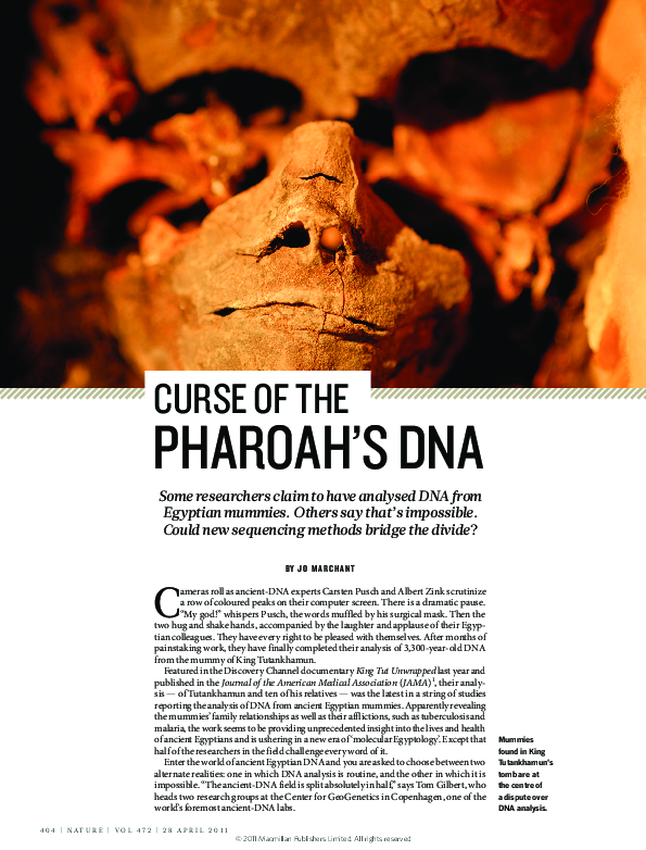 (PDF) Ancient DNA: Curse of the Pharaoh's DNA