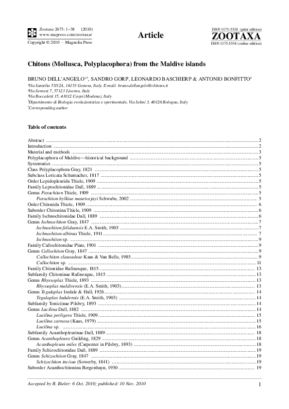 (PDF) Chitons (Mollusca, Polyplacophora) from the Maldive islands