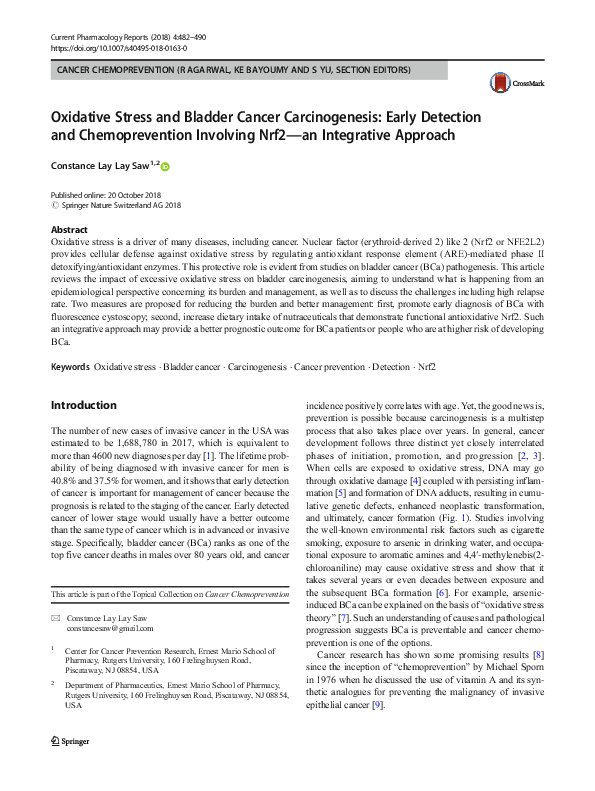 (PDF) Oxidative Stress and Bladder Cancer Carcinogenesis: Early Detection and Chemoprevention ...