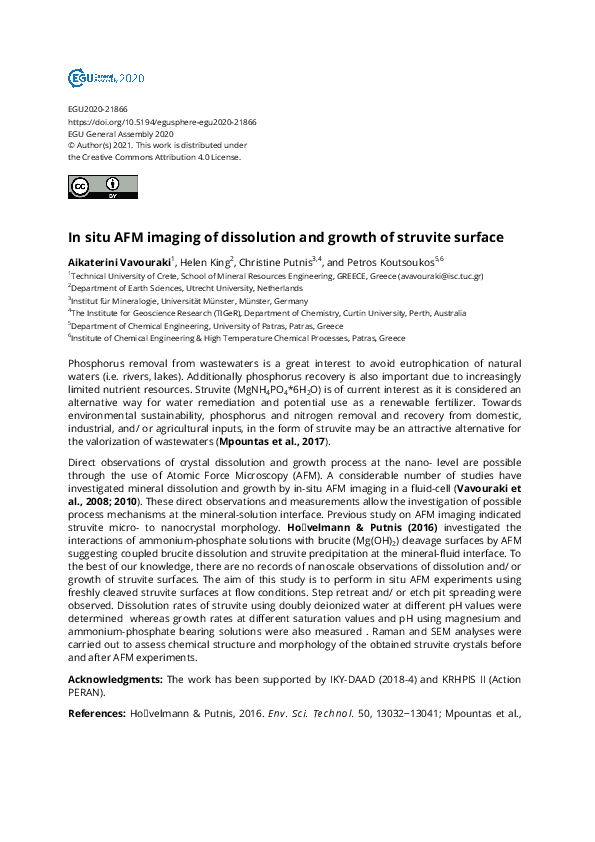 (PDF) In situ AFM imaging of dissolution and growth of struvite surface