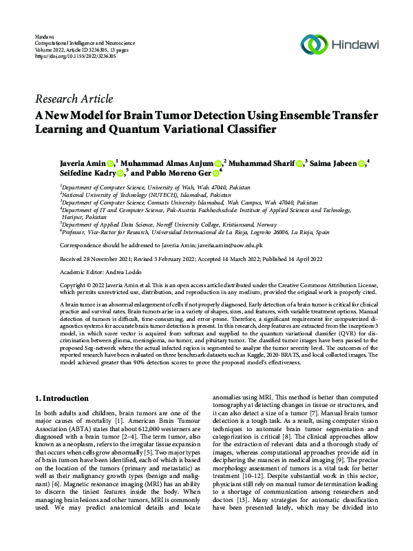 (PDF) A New Model for Brain Tumor Detection Using Ensemble Transfer ...