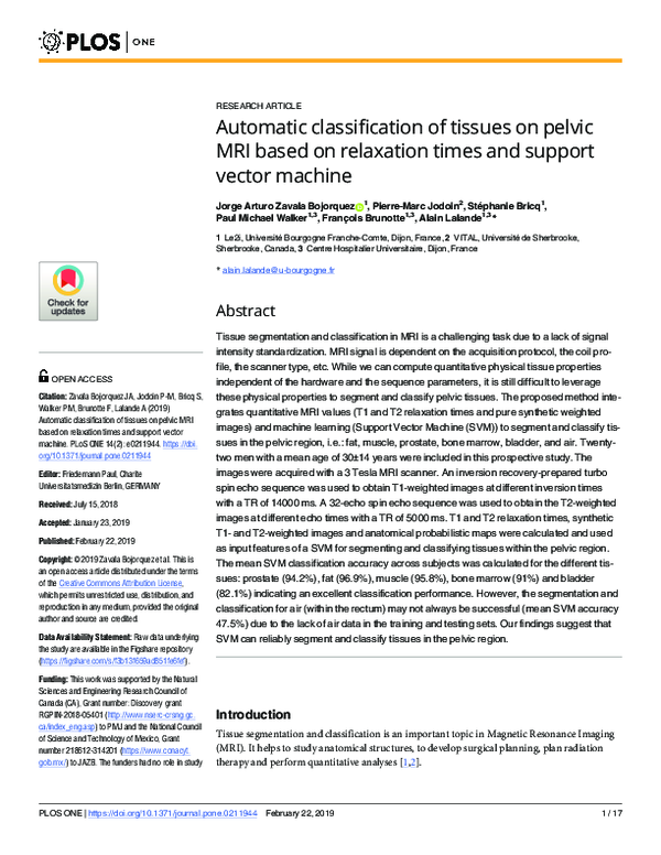 (PDF) Automatic classification of tissues on pelvic MRI based on relaxation times and support ...