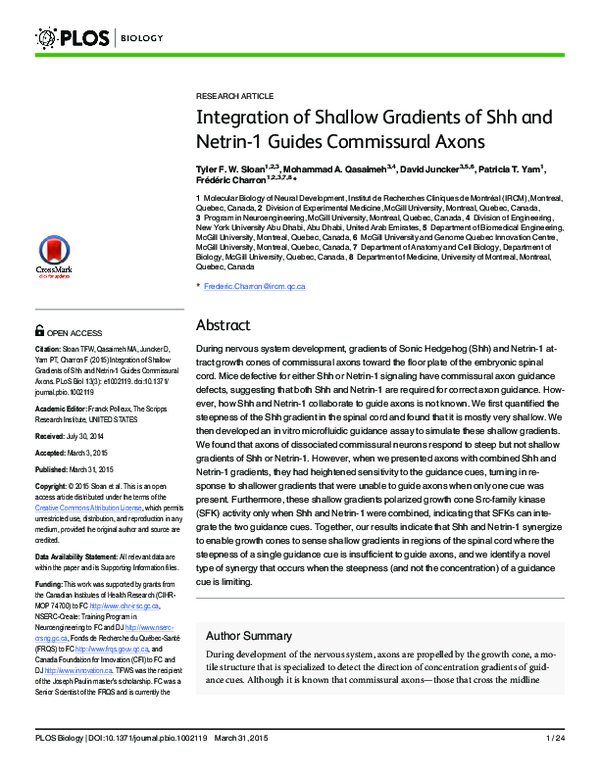 (PDF) Integration of shallow gradients of shh and netrin-1 guides ...