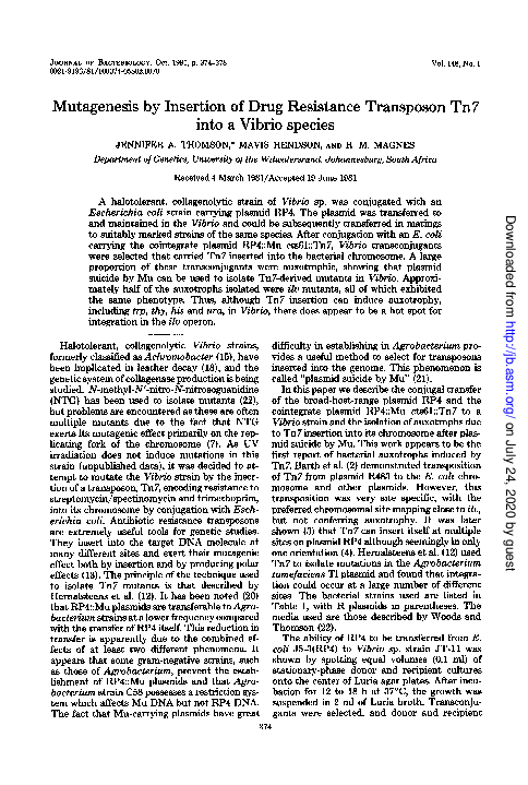 (PDF) Mutagenesis by insertion of drug resistance transposon Tn7 into a ...