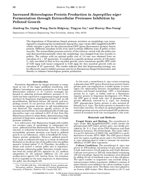 (PDF) Increased Heterologous Protein Production in Aspergillus niger ...