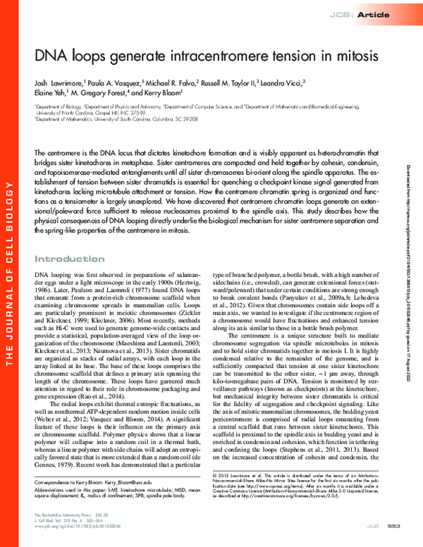 (PDF) DNA loops generate intracentromere tension in mitosis