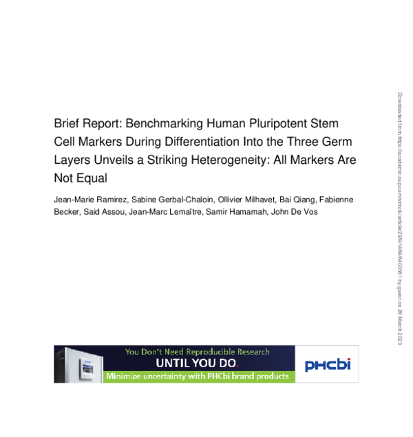 (PDF) Brief report: benchmarking human pluripotent stem cell markers during differentiation into ...