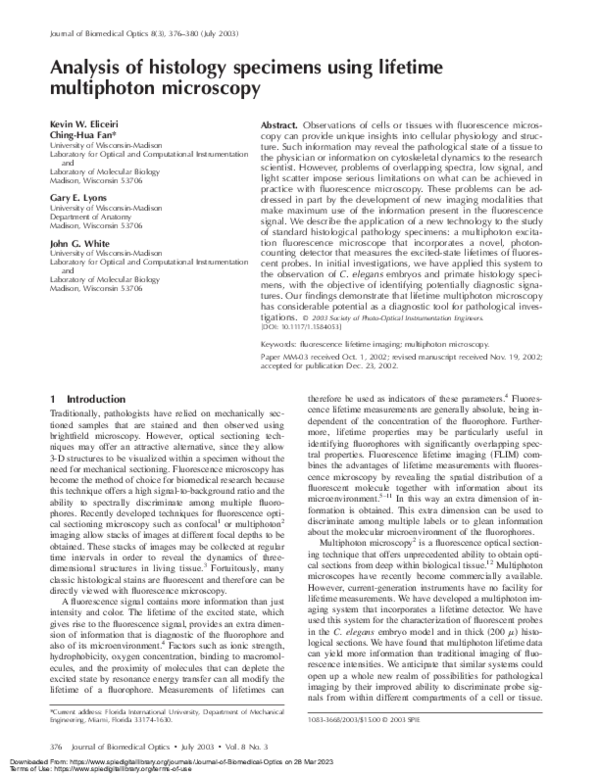 (PDF) Analysis of histology specimens using lifetime multiphoton microscopy