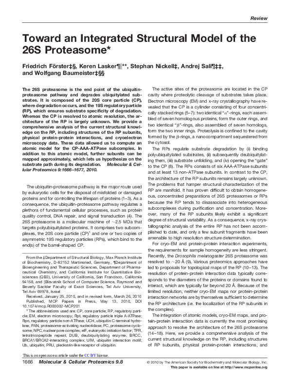 (PDF) Toward an integrated structural model of the 26S proteasome | S ...
