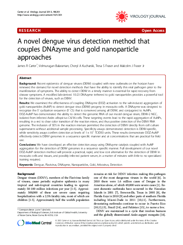 (PDF) A novel dengue virus detection method that couples DNAzyme and ...