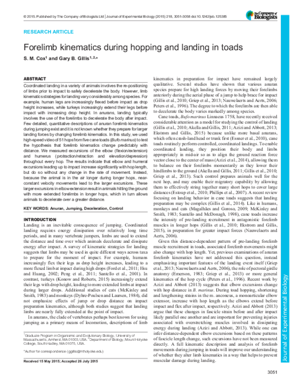 (PDF) Forelimb kinematics during hopping and landing in toads (Bufo ...