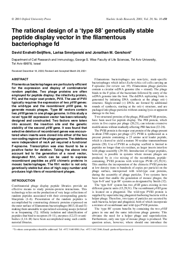 (PDF) The rational design of a 'type 88' genetically stable peptide ...