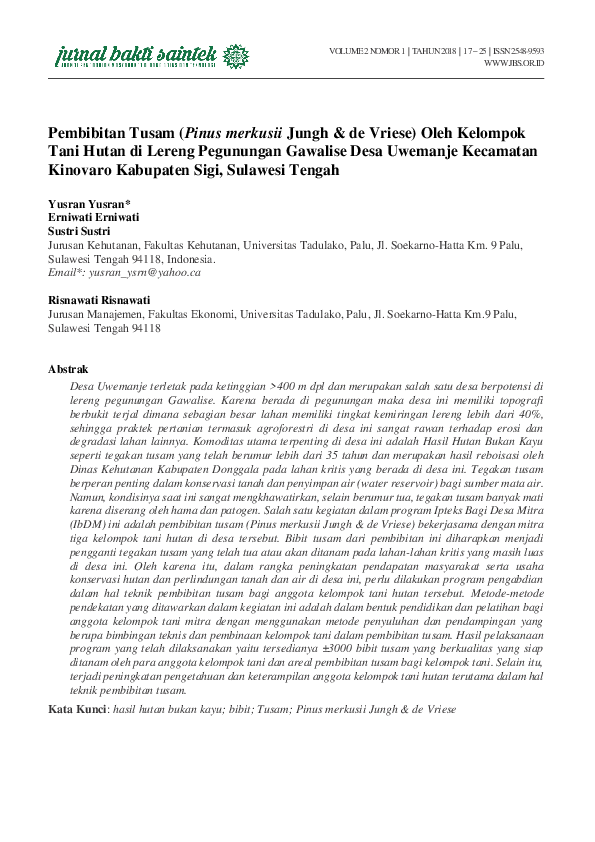 (PDF) Pembibitan Tusam (Pinus merkusii Jungh de Vriese) Oleh Kelompok ...