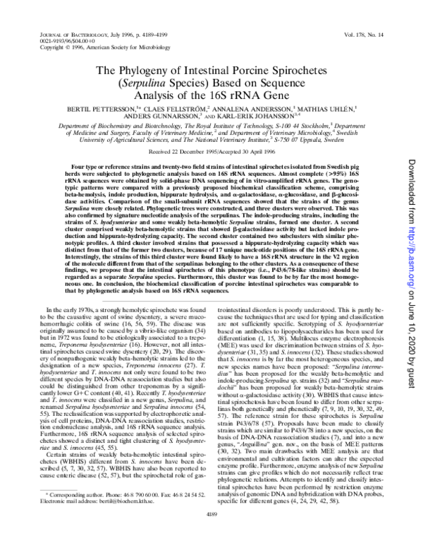 (PDF) The phylogeny of intestinal porcine spirochetes (Serpulina ...