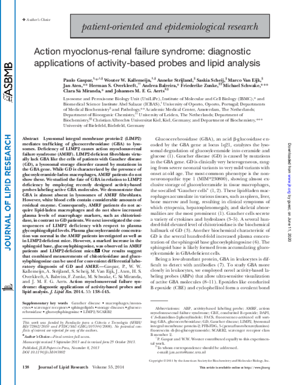 (PDF) Action myoclonus-renal failure syndrome: diagnostic applications ...