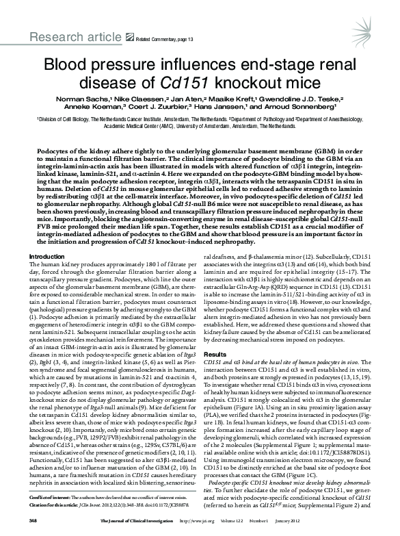 (PDF) CD151 Function in Nephropathy and Blood Pressure