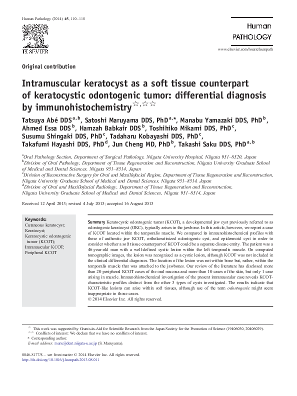 (PDF) Intramuscular keratocyst as a soft tissue counterpart of ...
