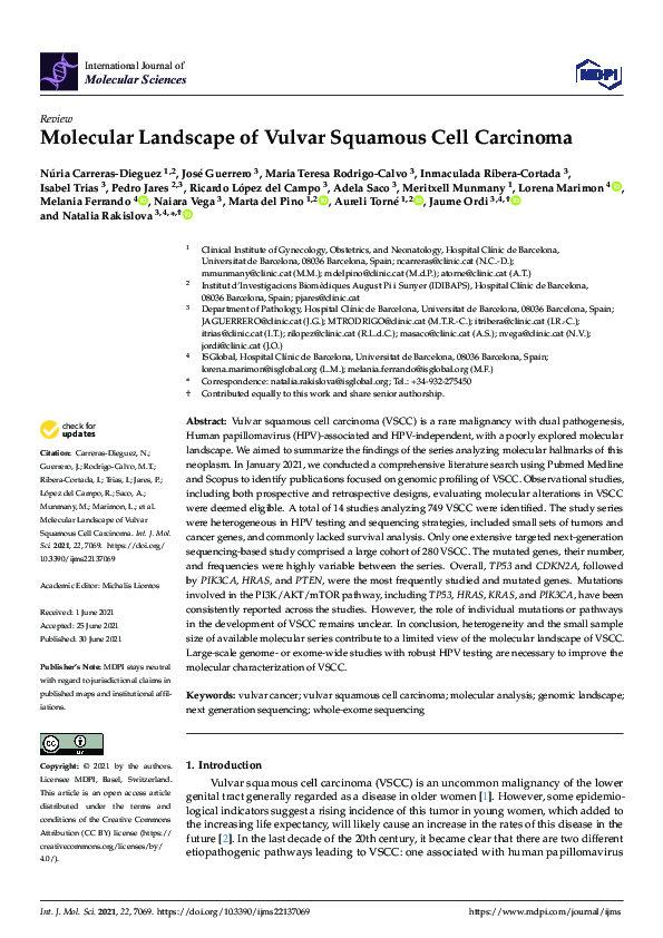 (PDF) Molecular Landscape of Vulvar Squamous Cell Carcinoma