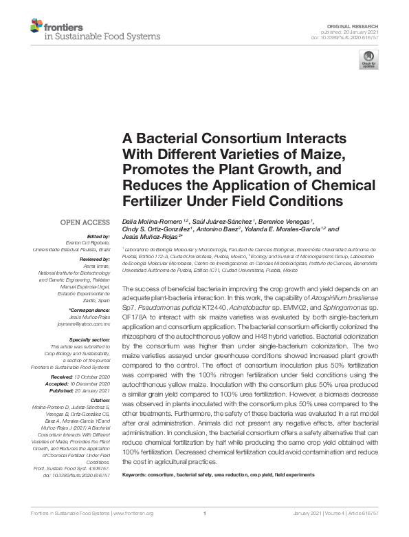 (PDF) A Bacterial Consortium Interacts With Different Varieties of ...
